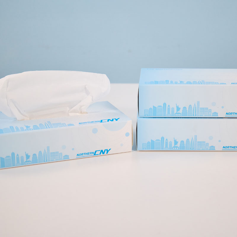 Facial Tissue Box 100%VIRGIN WOOD PULP 2-PLY 100pcs/BOX