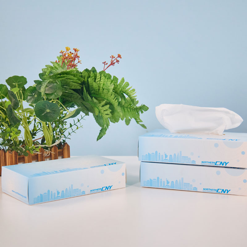 Facial Tissue Box 100%VIRGIN WOOD PULP 2-PLY 100pcs/BOX